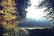 Breitenfurt bei Wien - Landschaft im Wienerwald
